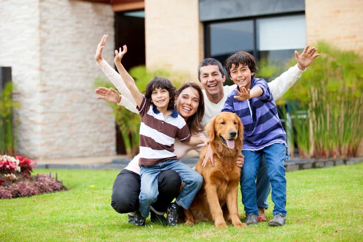 External Wall Insulation: More Than Just Warmth - LeeTherm