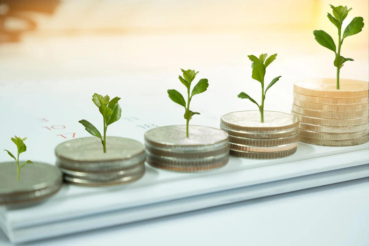 SEAI Increased Grants 2026: What Homeowners Need to Know (And How to ...